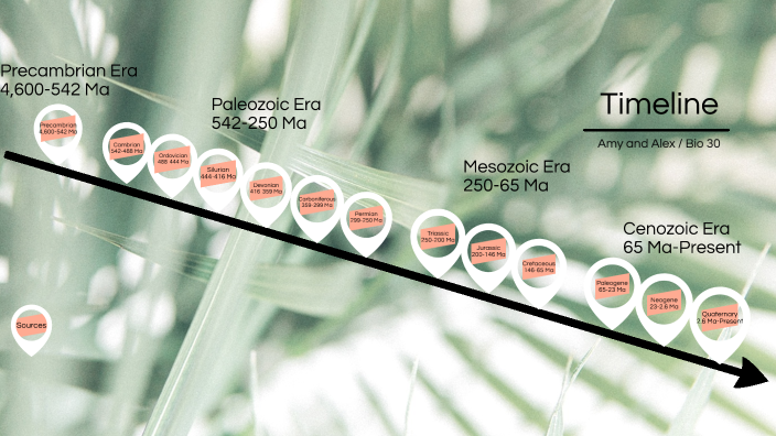 Bio30 Timeline by Alex Brown on Prezi