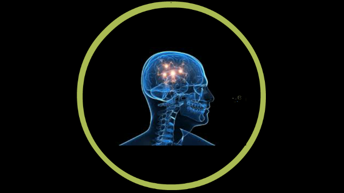 How does the brain send commands to the rest of the body? by Russell ...