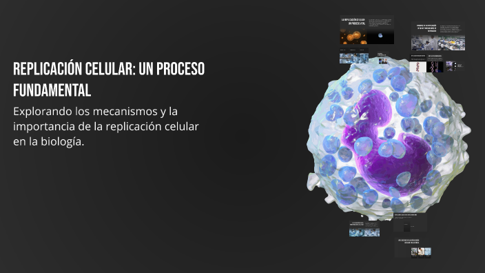 Replicación Celular Un Proceso Fundamental By Juan Manuel Sierra Pinto 7730