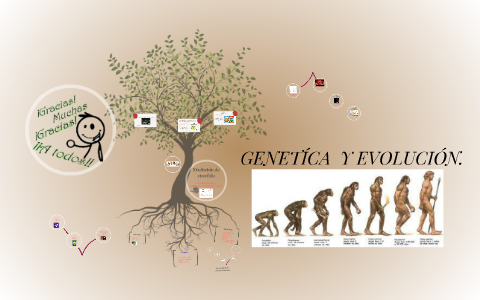 GENETICA Y EVOLUCION by rocio vega on Prezi