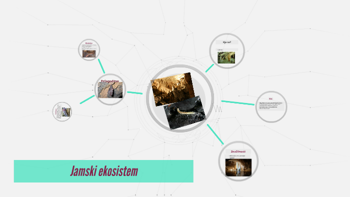 Jamski ekosistem by Matej Bremec on Prezi