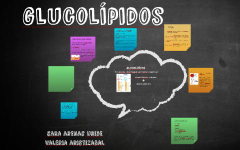 glucolípidos by sara arenas on Prezi