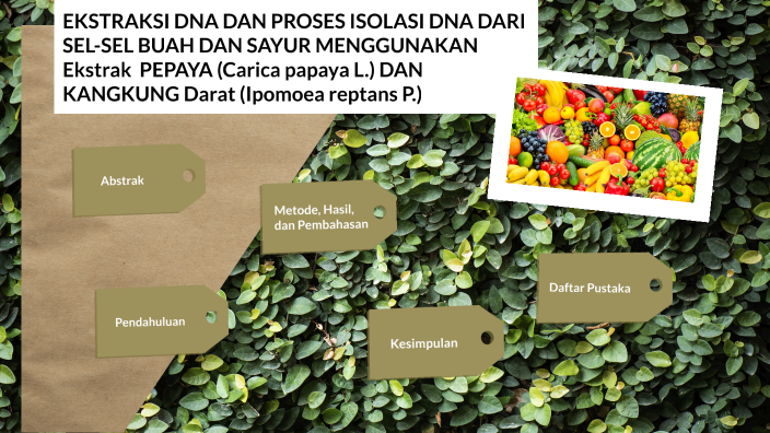 EKSTRAKSI DNA DAN PROSES ISOLASI DNA DARI SEL-SEL BUAH DAN SAYUR by ...
