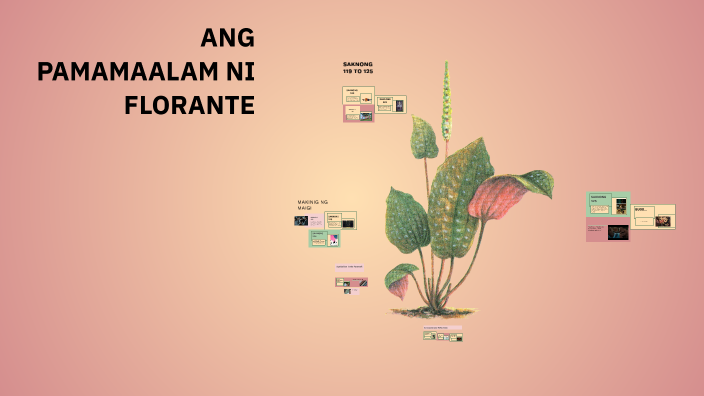ANG PAMAMAALAM NI FLORANTE by jeydon claudio on Prezi
