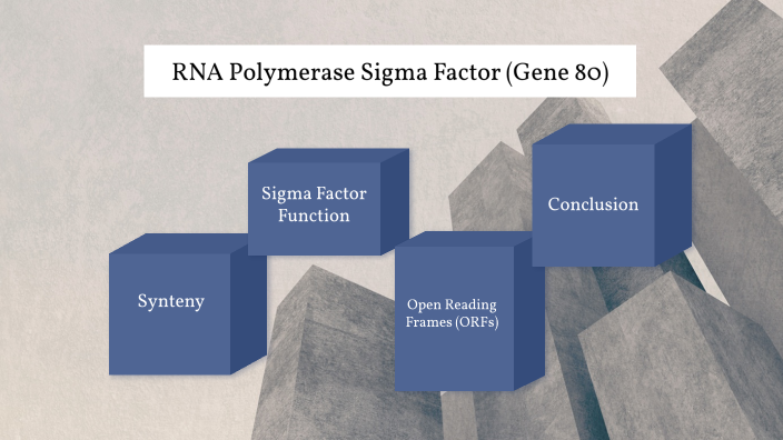 RNA polymerase sigma factor by Tristan Bouit on Prezi