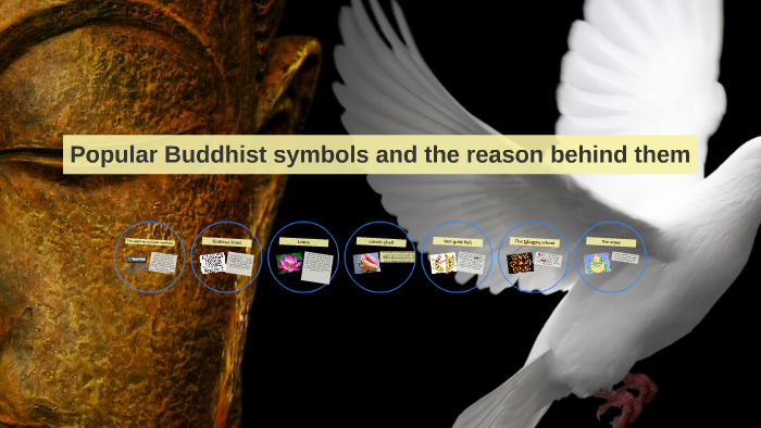 Popular Buddhist symbols and the reason behind them by erica henderson ...