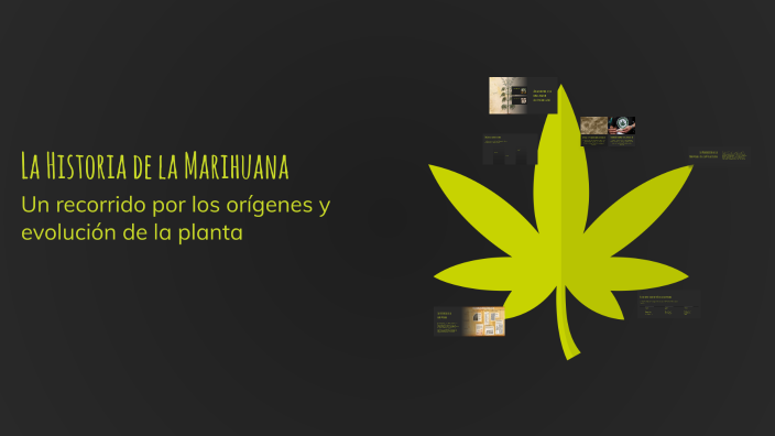 La Historia De La Marihuana By Joel Doncel On Prezi