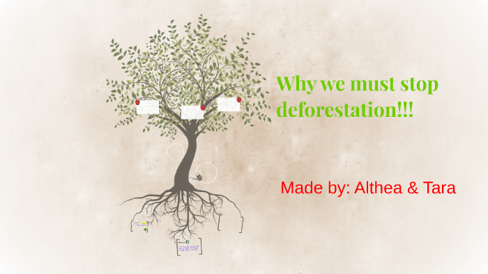 Why we must stop deforestation!!! by Tara Khademi
