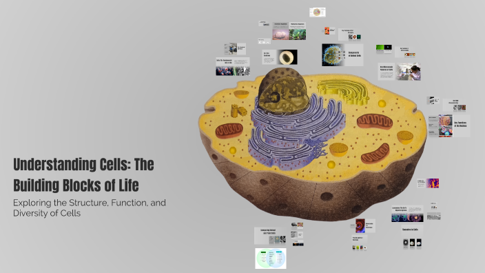 Understanding Cells: The Building Blocks of Life by Regie Salmeron on Prezi