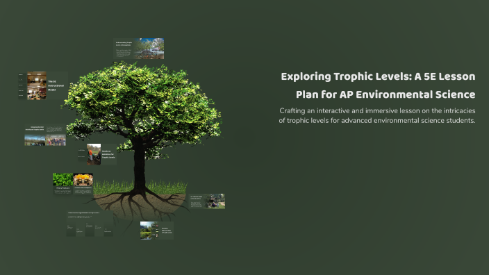 Exploring Trophic Levels: A 5E Lesson Plan for AP Environmental Science ...