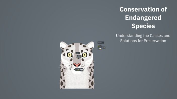 Conservation of Endangered Species by JJ Dominguez on Prezi