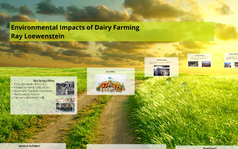 Environmental Impacts of Dairy Farming by Ray Loewenstein on Prezi