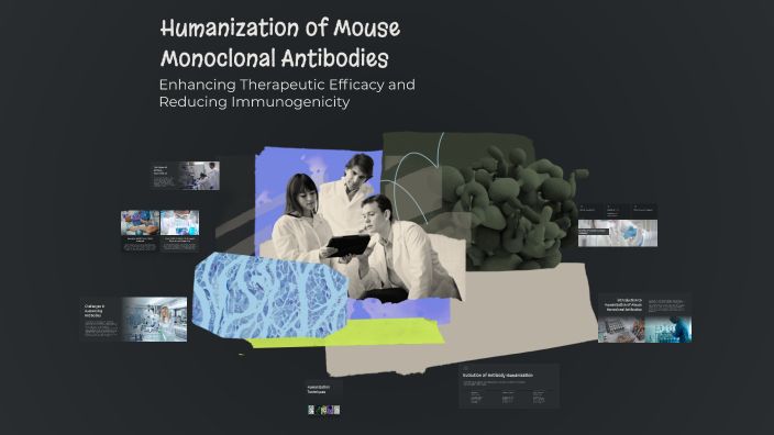 Humanization of Mouse Monoclonal Antibodies by Anita Paul on Prezi
