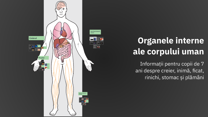Organele interne ale corpului uman by ANGELICA COCEA on Prezi