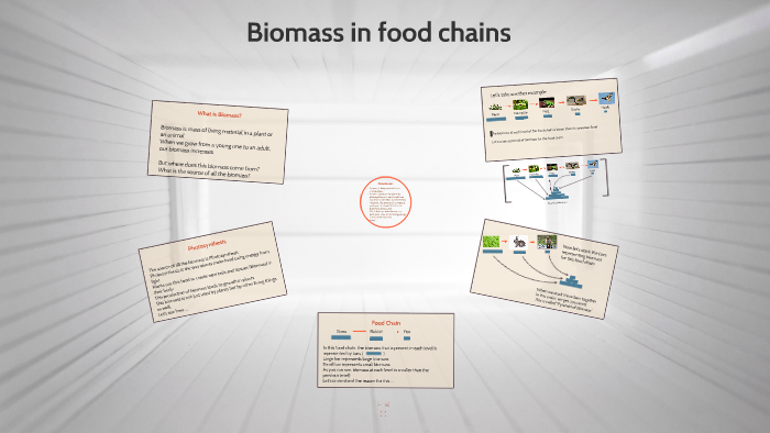 Biomass in food chains by Nithika Yadav on Prezi