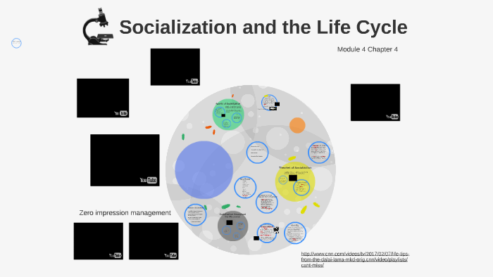 Socialization and the Life Cycle by Shawn Nyman on Prezi