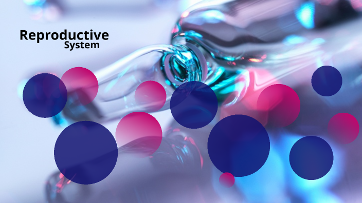 reproductive project by Brianna Lara on Prezi