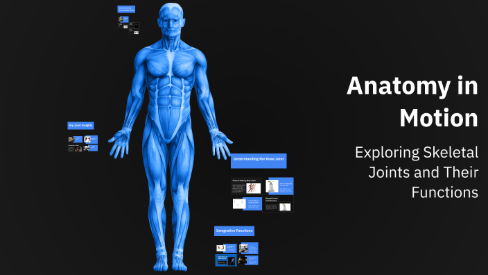 Anatomy in Motion by ahmed amer on Prezi
