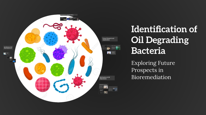 Identification of Oil Degrading Bacteria by Hala Ezzat on Prezi