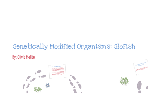 GMO - GloFish by Olivia Melito on Prezi