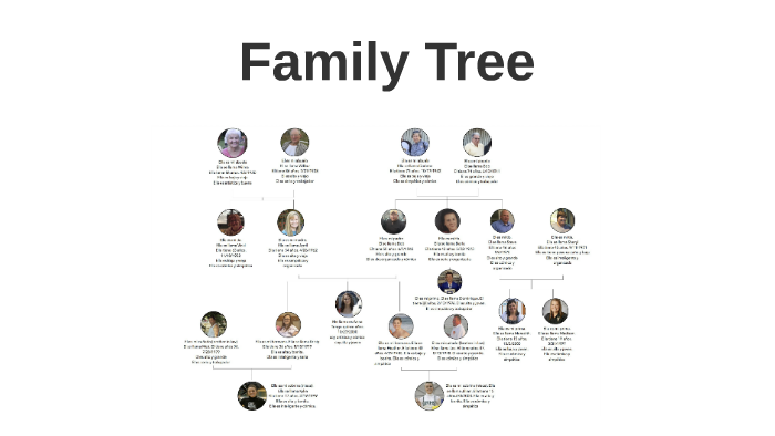 Family Tree by Anna McCreary