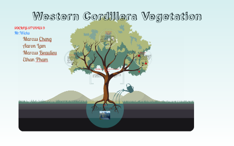 Western Cordillera Vegetation by Aaron Lam on Prezi