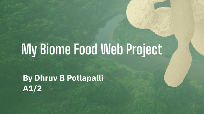 The Biome Food Web Project by Dhruv Potlapalli on Prezi