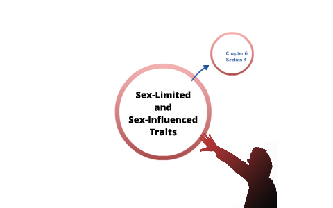 Sex-Limited and sex-influenced traits by haylee wagner on Prezi Next