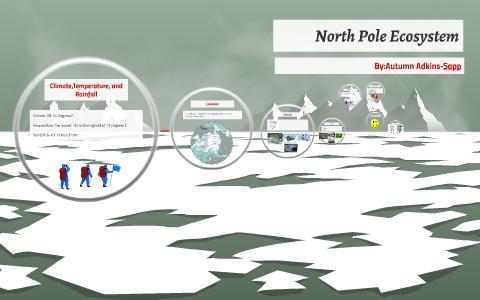 North Pole Ecosystem by Autumn Adkins on Prezi
