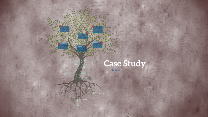 Case Study by Victor Ortega on Prezi