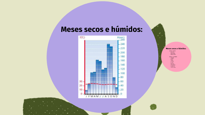 Clima tropical húmido by Alice Ribeiro on Prezi