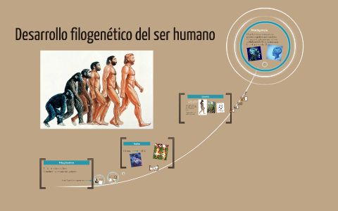 Desarrollo filogenético del ser humano by Paola Núñez Prado on Prezi
