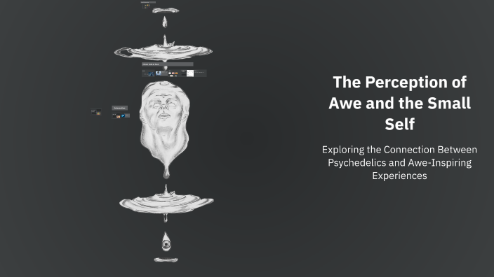 The Perception of Awe and the Small Self by Oleksii Miienko on Prezi