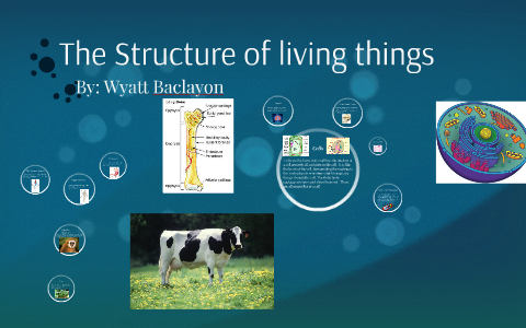 The Structure of Living Things by Wyatt Baclayon on Prezi
