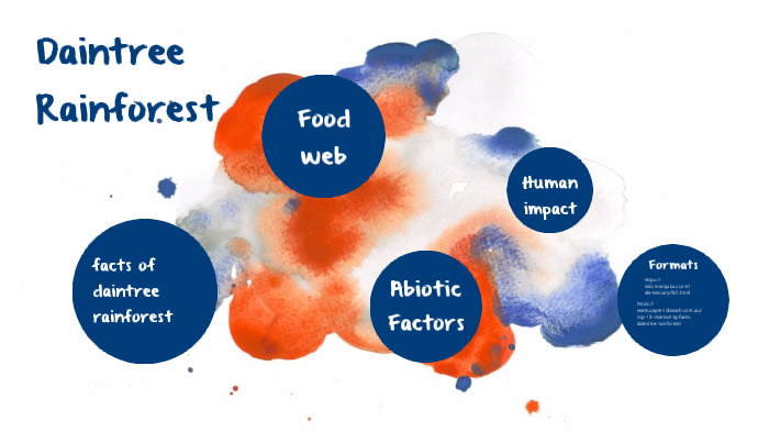 daintree Rainforest (Alivia Young) by ALIVIA YOUNG on Prezi