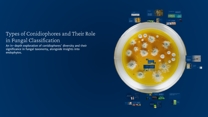 Types of Conidiophores and Their Role in Fungal Classification by Dalia ...