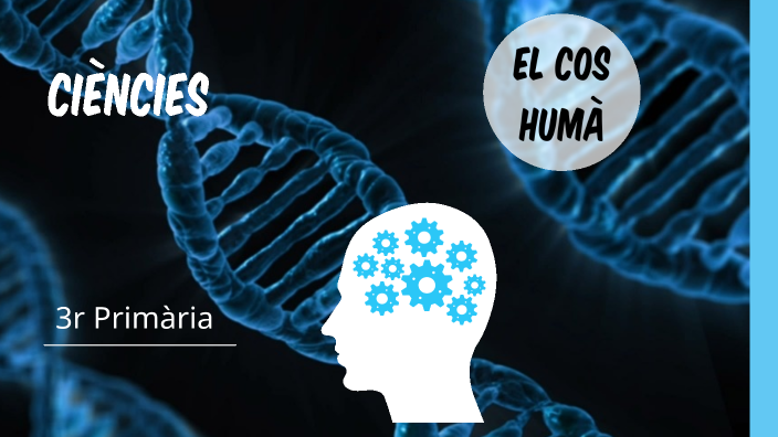 El Cos Humà 3r By Maria Bel Andreu On Prezi