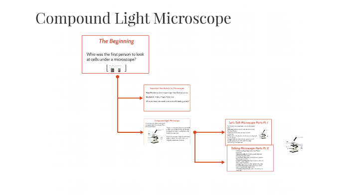 Compound Light Microscope by Matt Swajkowski on Prezi