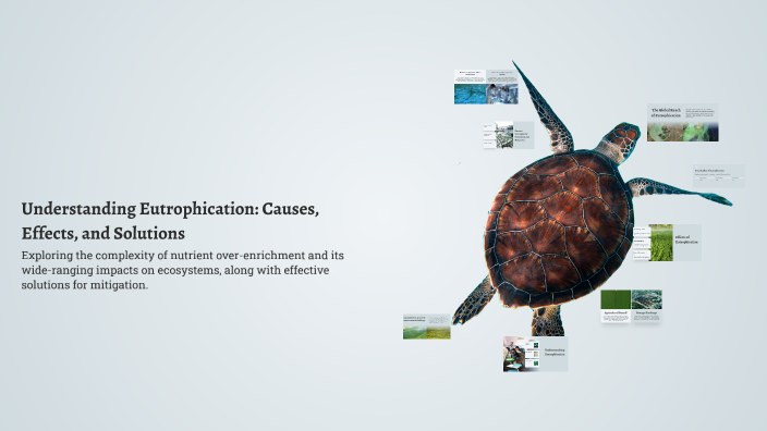 Understanding Eutrophication: Causes, Effects, and Solutions by Maya ...