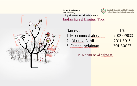 Endangered Dragon Tree by m_3lnuaimi 2002 on Prezi
