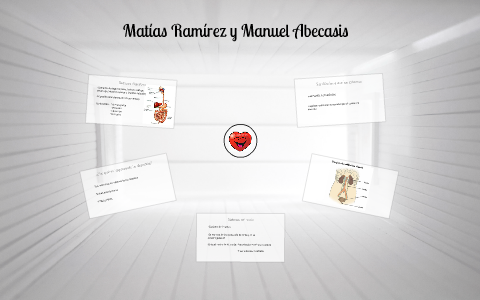 Sistema digestivo y sistema urinario by Manuel Abecasis