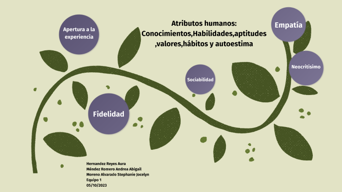 Atributos humanos: Conocimientos: habilidades, actitudes, aptitudes, valores, hábitos y auto ...