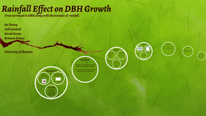 Rain Fall and DBH by Brianna Frazee on Prezi