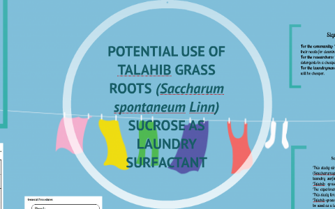 POTENTIAL USE OF TALAHIB GRASS ROOTS (Saccharum spontaneum L by Ken ...