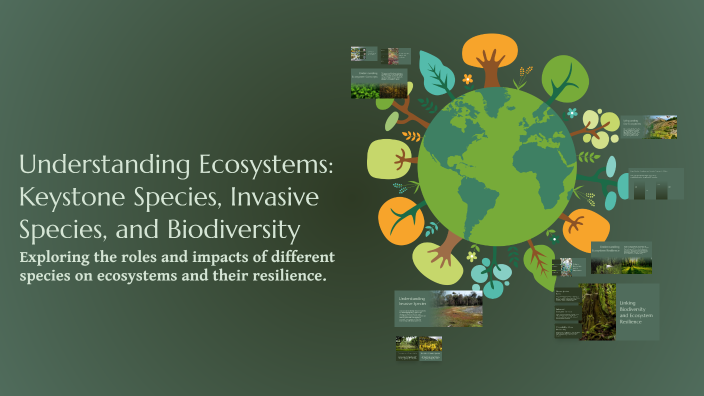 Understanding Ecosystems: Keystone Species, Invasive Species, and ...