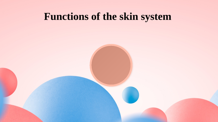 Functions of the skin system by Navneeth Suresh on Prezi
