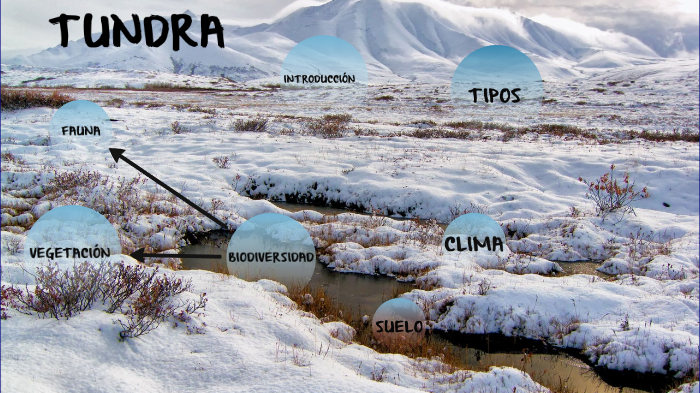 Clima De Tundra Biome Features: Tundra Geography: KS3