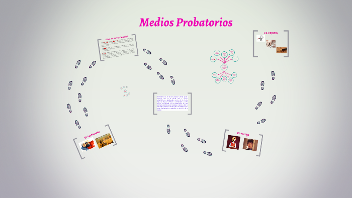Medios Probatorios by on Prezi