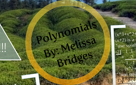 Polynomials by Melissa Bridges