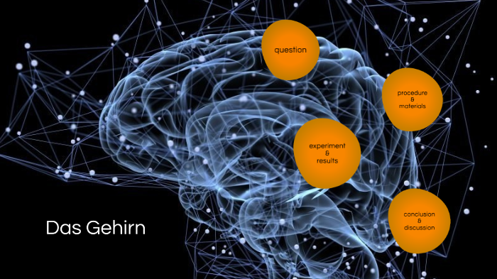 Das Gehirn by Daniela Bischof on Prezi